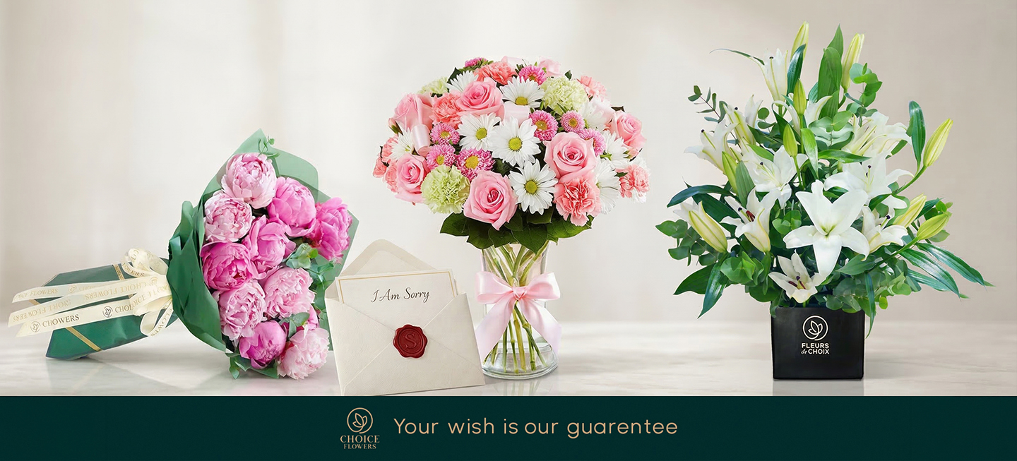 10 Best Apology Flowers to Say Sorry — Meanings & Color Guide | Choice ...